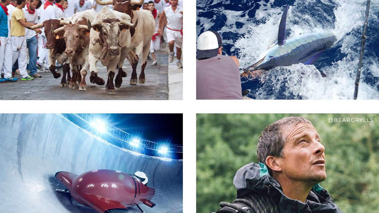 12 Cool Stag Ideas | SL.Man